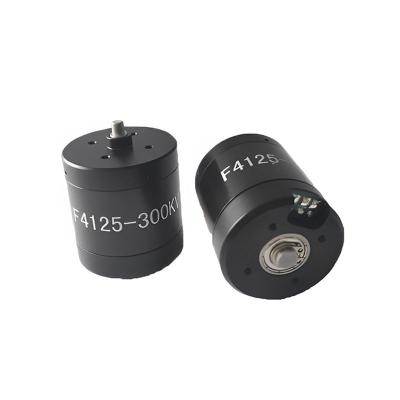 China Faradyi Wholesale High Quality 350KV IP67 Brushless BLDC Tubular Waterproof Motor For Water Surfboard for sale