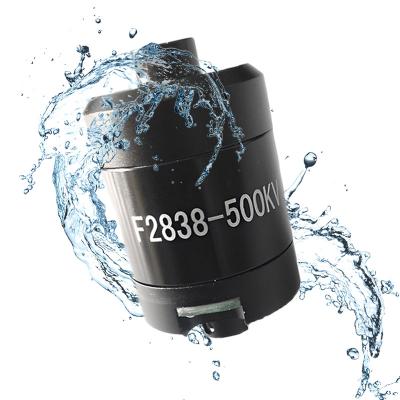 China Faradyi Customized F2838 12V 24V 48V 350KV 500KV 5000RPM Waterproof BLDC Underwater Motor With Propeller For Electric Surfboard for sale