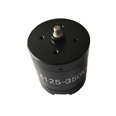 China Faradyi Customize 24V 110 12V 300W Volt Low Speed High Torque Dc Motor For Waterproof For Bike With Hub Motor Brake for sale