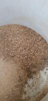 China Special Drying Line For Sawdust, Wheat And Rice Pellets for sale