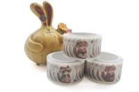 China 100 sheets Decorative Cartoon Raccoon Washi Tape Stickers for sale
