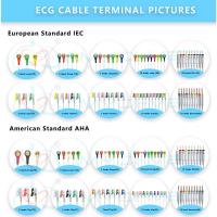 China 2.4M 10-Lead 15-Pin AHA ECG Cable for GE MAC500 & MAC1200 with 3-Year Warranty for sale