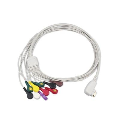 China DMS 300-3A 10 Leadwires Holter ECG Cable with 2.4m Length and 2-Year Warranty for Medical Monitoring for sale