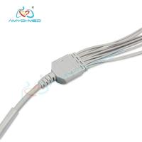 China DMS 300-3A 10 Leadwires Holter ECG Cable with 2.4m Length and 2-Year Warranty for Medical Monitoring for sale
