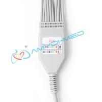 China Gray ECG/EKG Cable 15-Pin Banana Connector with 10 Leads 2.4m Length for Medical Monitoring Devices for sale