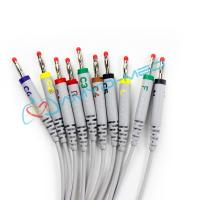 China TPU Coated 10-Lead ECG Cable for Nihon Kohden & Biocare - 2.4m Length with Medical Certifications for sale