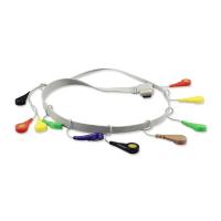 China 10-Lead Holter ECG Patient Cable with 0.8M TPU Cable & 3-Year Warranty - Class I Medical Instrument for sale