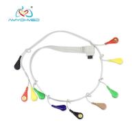 China 10-Lead Holter ECG Patient Cable with 0.8M TPU Cable & 3-Year Warranty - Class I Medical Instrument for sale