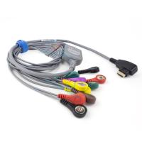 China DMS 300-3A/4A/4L ECG Holter Cable 19-Pin 10-Lead AHA Snap with 0.8m Length and 3-Year Warranty for sale