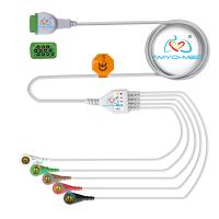 China 11Pin GE ECG Cable for V100 Solar 8000 Dash1000 TPU 2.4M Cable 0.9m Leads for sale