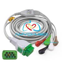 China 11Pin GE ECG Cable for V100 Solar 8000 Dash1000 TPU 2.4M Cable 0.9m Leads for sale