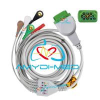 China 11Pin GE ECG Cable for V100 Solar 8000 Dash1000 TPU 2.4M Cable 0.9m Leads for sale