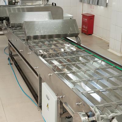 China Conveyor Belt Cooling Machine 220V 380V Customized Size for Cone Production Line for sale