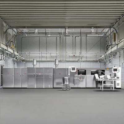 China Factory Direct Sales Automatic Egg Roll Production Line With CE for sale
