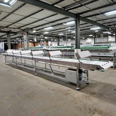 China Easy To Install Marshalling Cooling Conveyor Offering Power Supply Suitable For Sugar Cone Machine for sale