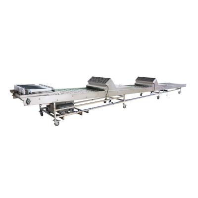 China Easy To Install Marshalling Cooling Conveyor Automatic Components Ensuring Smooth Operation And Reduced Downtime for sale
