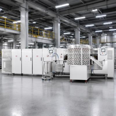 China Video Technical Support Automatic Food Processing Machinery Offering Advanced Control Systems for sale