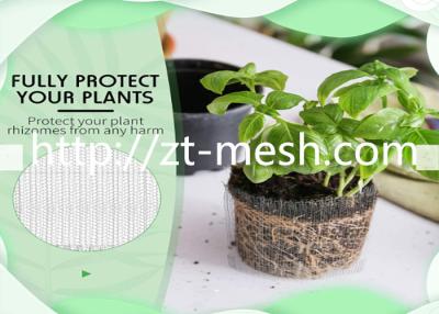 China Compressed Stainless Steel Wire Mesh Exhaust Support Pads with Corrosion Resistance and High Temperature Resistance in Customizable Diameter for sale
