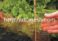China Galvanized Welded Wire Mesh With Flat-type And Corrugated Type Surface Spiral Wound Or Compressed Craft for sale
