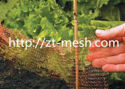 China Galvanized Welded Wire Mesh With Flat-type And Corrugated Type Surface Spiral Wound Or Compressed Craft for sale