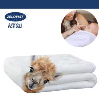 China ZELOYAUT Wholesale Sublimation Blanks Hot Sales Sublimation White Baby Blanket Soft Diy Blanket for Home Baby Super Soft Blanket for sale