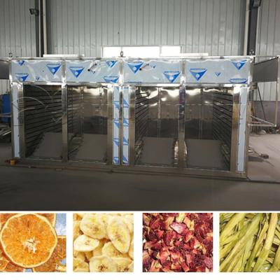 China Industrial Food Dehydrator Machine 60-480kg Capacity Stainless Steel Energy Saving Hot Air Drying Equipment for sale