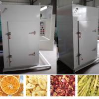 China Industrial Food Dehydrator Machine 60-480kg Capacity Stainless Steel Commercial Fruit Vegetable Dryer for sale