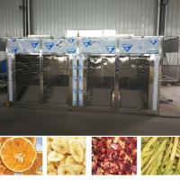 China Industrial Food Dehydrator with Removable Trolley - 60kg to 480kg Capacity, CE Certified Drying Machine for sale