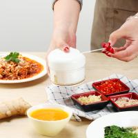 China Home Manual Hand Held Mini Vegetable Chopper Cutter With Pulling Cord for sale