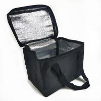 China Custom Insulated Kids Lunch Bag 25x15x22cm Oxford School 2 Handle Cooler for sale