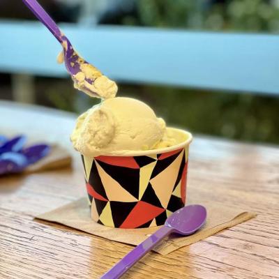 China Food Grade PLA Bioplastic Disposable Ice Cream Spoons 164mm Eco Friendly Compostable Cutlery for sale