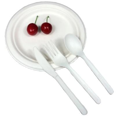 China BPI Compostable Embossed Biodegradable Tableware Plant Based 20 Days Delivery for sale
