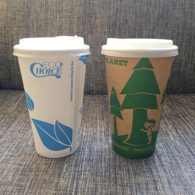 China PLA Biodegradable Compostable Paper Cups 16oz Double Wall with Lids for Hot and Cold Drinks for sale