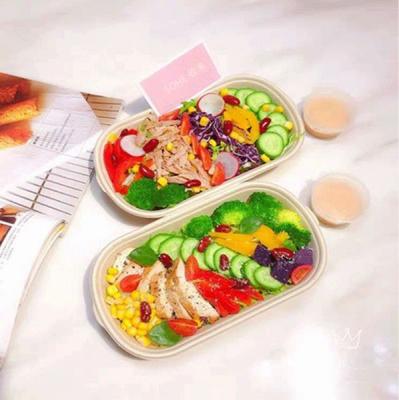 China 21g 1000ml Biodegradable Sugarcane Bagasse Food Container for Takeaway Fast Food for sale
