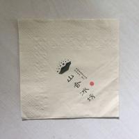 China Biodegradable 2 Ply Plain Tissue Paper 33cm x 33cm 100 Sheets Custom Logo for sale