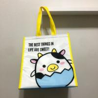 China Custom Insulated Oxford Cloth Cooler Bag for Fast Food Restaurants 5000 PCS MOQ for sale