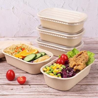 China Compostable Bagasse Takeout Food Containers 500ml 750ml Lunch Box With Lid for sale