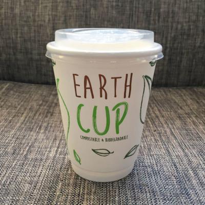 China 8oz Biodegradable PLA Double Wall Paper Coffee Cups with Compostable Lid for sale