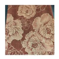 China Illustration Polyester Pongee Fabric High Strength Fiber 8.0cn / Dtex for sale
