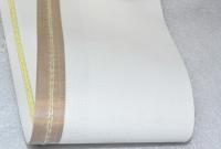 China High Tensile Strength PTFE  Conveyor Belt For Physical Distribution for sale
