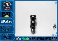 China 4P9830 1W6541 CAT 3306 Diesel Common Rail Plunger 4P9830 1W6541 for sale