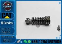 China Fuel Injection 1w6541 4p9830 9h5797 6n7527 7W5929 Element for CAT 3304 3306 Engine for sale