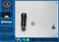 China Diesel Fuel Injection Pump Plunger 1w6541 4p9830 9h5797 6n7527 Plunger Barrel 7W5929 Element for CAT 3304 3306 Diesel En for sale