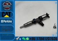 China Diesel Engine Injector c4.4 Fuel Injector 295700-1200 295050-0331 370-7282 295050-0401 FOR C-AT for sale