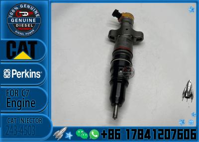 China New common rail injector20R-8066 20R-8057 557-7627 243-4503 20R-9079 2OR-8071 for diesel engine CAT for sale