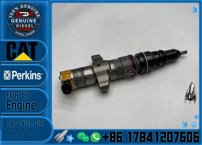China New common rail injector 557-7627 243-4503 20R-9079 2OR-8071 20R-8066 295-9166 for diesel engine CAT for sale