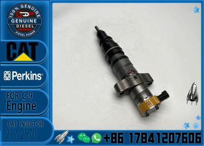 China Excavator parts cat c-9 injector236-0962 217-2570 10R-7225 for caterpillar c-9 diesel engine for sale