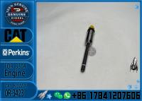 China 3208 Excavator Engine Common Diesel Engine Fuel Rail Injector 0R-3423 0R-1746 0R-8785 0R-3418 0R-3424 for sale