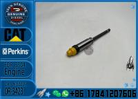 China 3208 Excavator Engine Common Diesel Engine Fuel Rail Injector 0R-3423 0R-1746 0R-8785 0R-3418 0R-3424 for sale