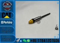 China Excavator Parts 3304 Engine Injector 170-5181 0R-3422 7W7026 4W7016 4W7018 Fuel Injector For Excavator for sale